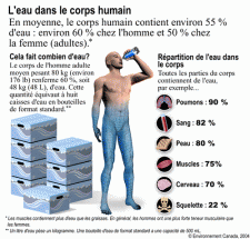 Notre cerveau est plongé dans l'eau tout le temps | Pour Un Monde ...